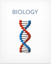 DNA Replication & Protein Synthesis - AP Bio